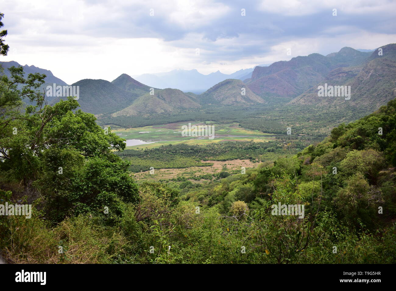 Green Valley View in Kodaikanal Hills Stock Photo - Alamy