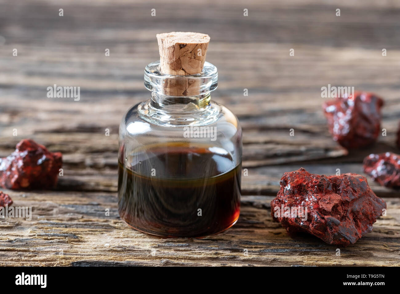 Croton lechleri, or sangre de drago oil and resin on a rustic ...