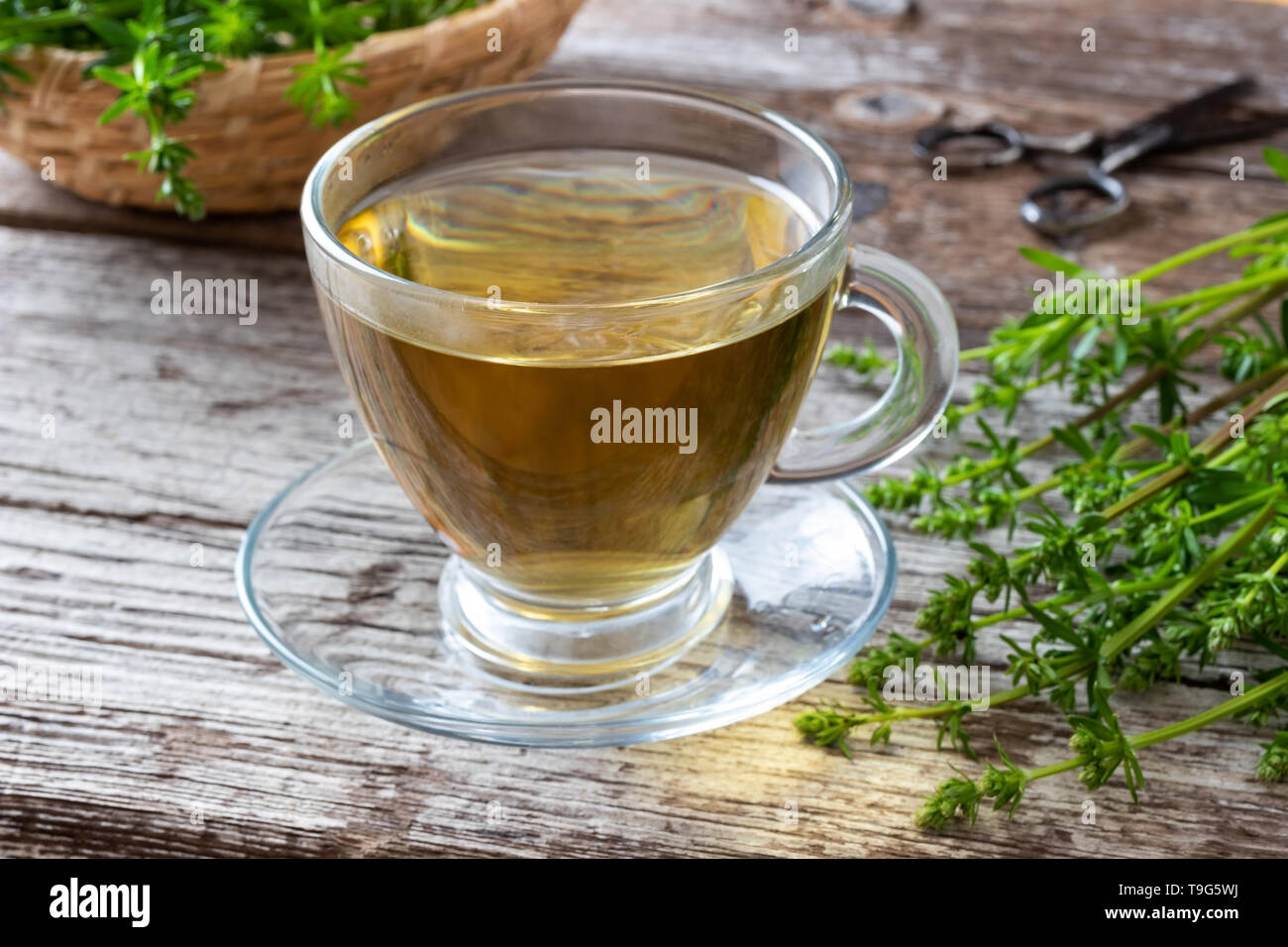 A cup of herbal tea with fresh bedstraw twigs in the background Stock ...