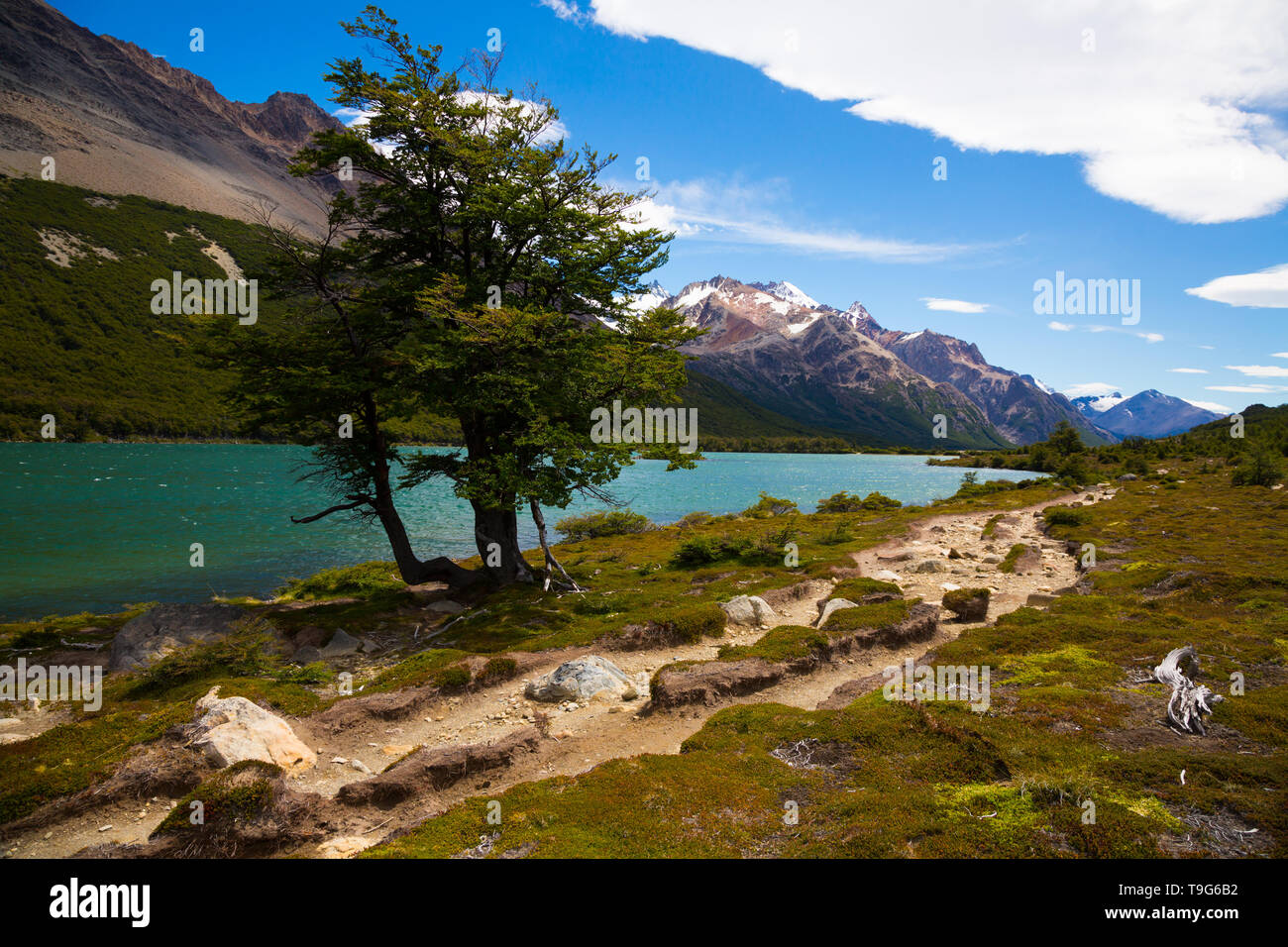 View of mountain peaks and valley with trees at foothills of Andes ...
