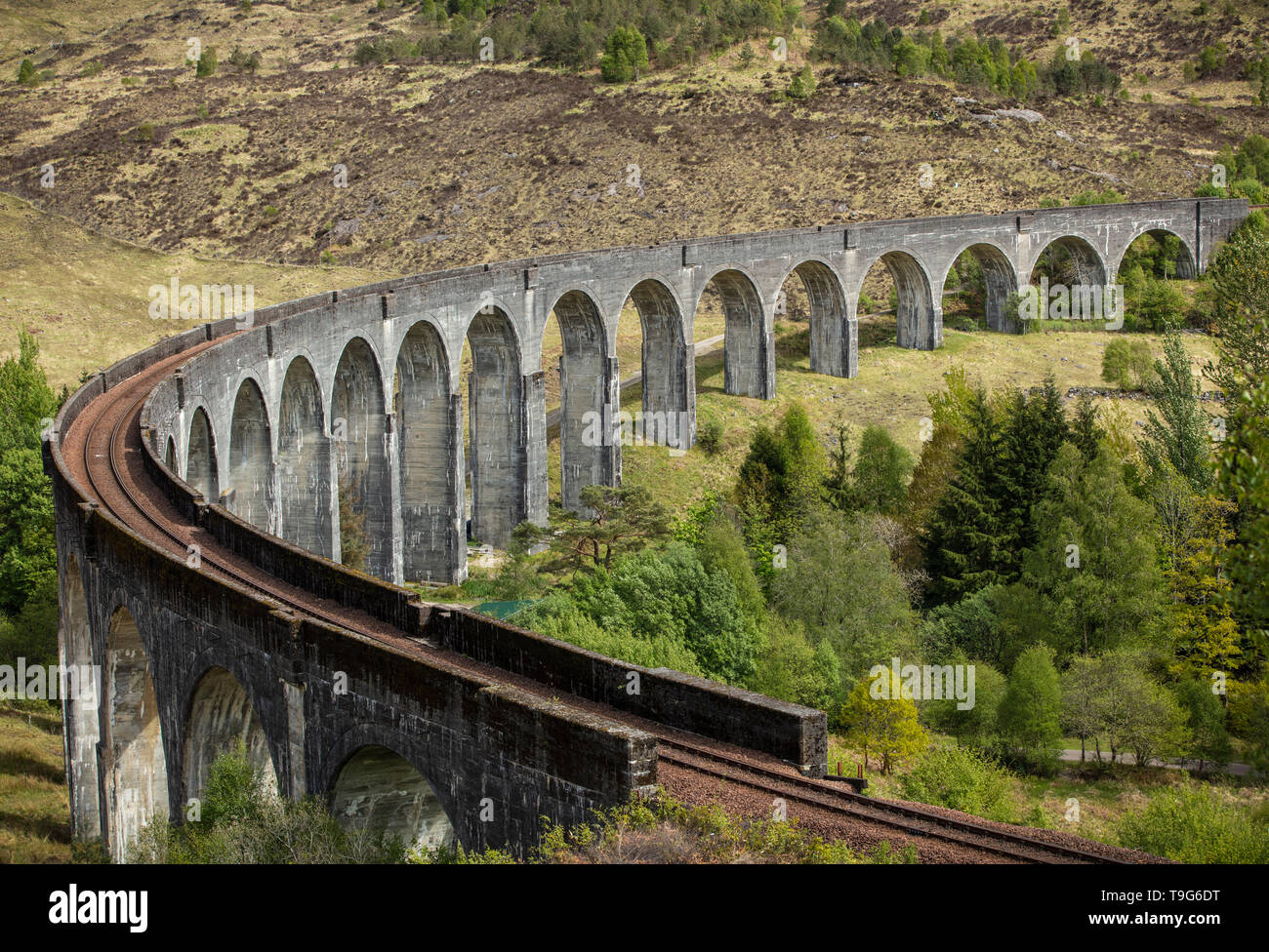 Jacobite Steam Train on Glenfinnan Viaduct Stock Photo - Alamy