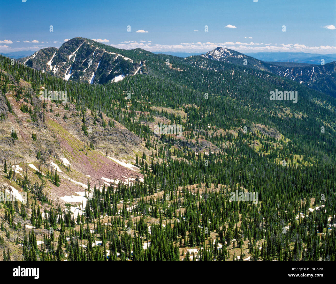 grant creek basin in the rattlesnake wilderness near missoula, montana ...
