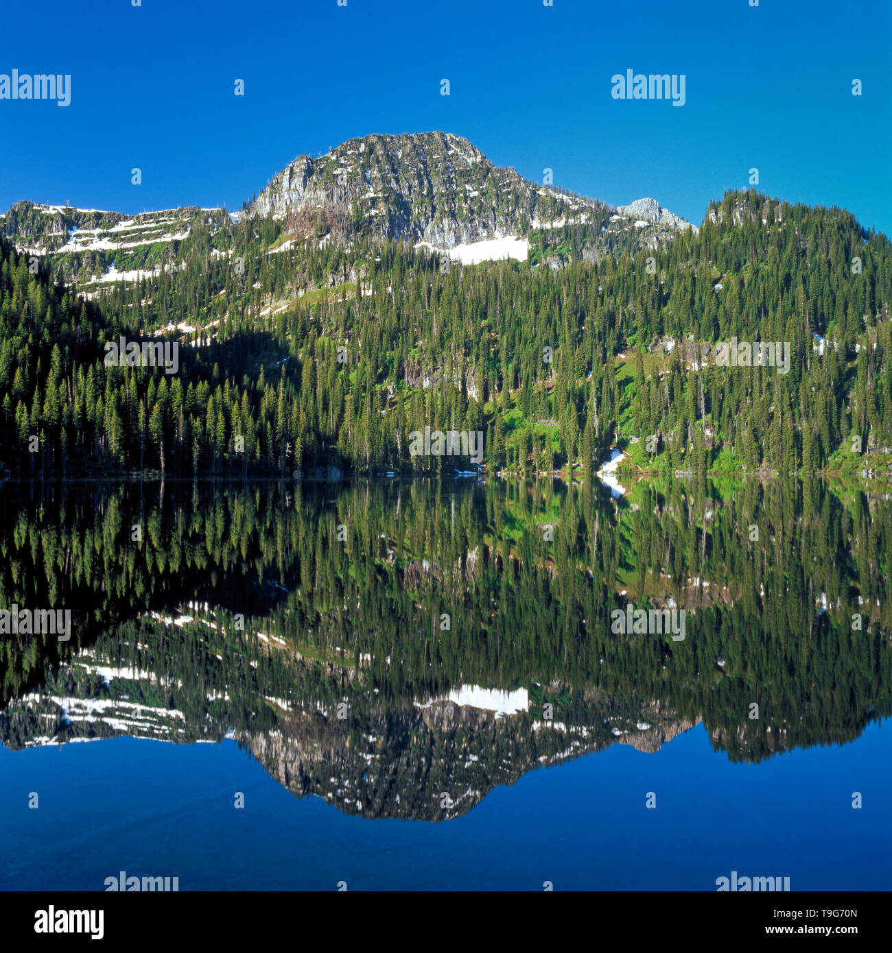 Lower habitat hi-res stock photography and images - Alamy