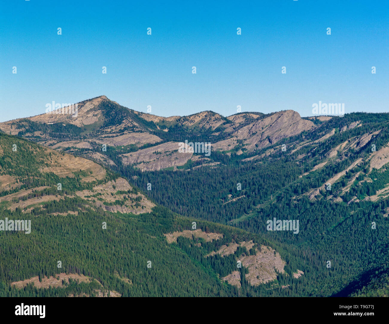 stuart peak in the rattlesnake wilderness near missoula, montana Stock ...
