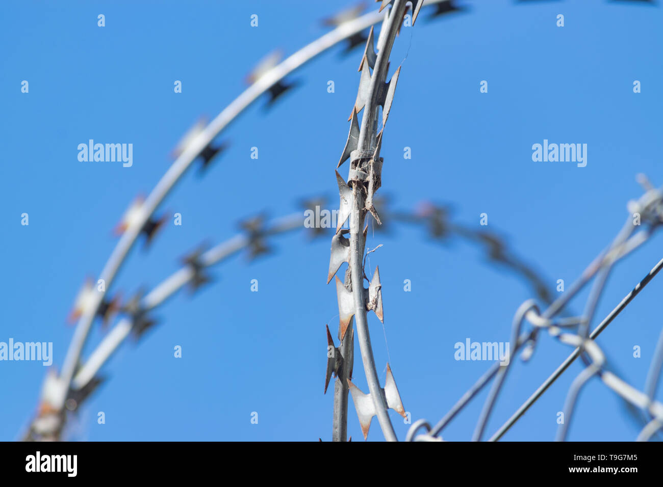 Details of barb wires in a sunny day Stock Photo - Alamy