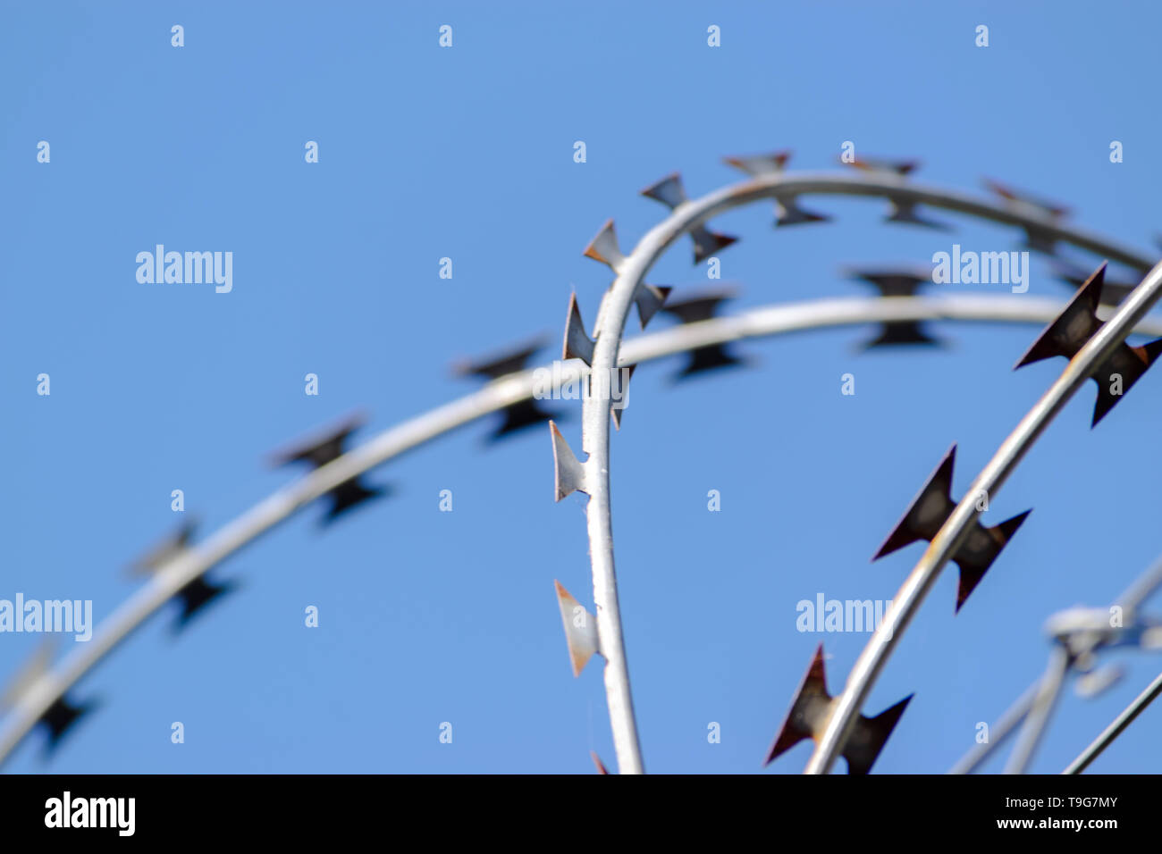 Details of barb wires in a sunny day Stock Photo - Alamy