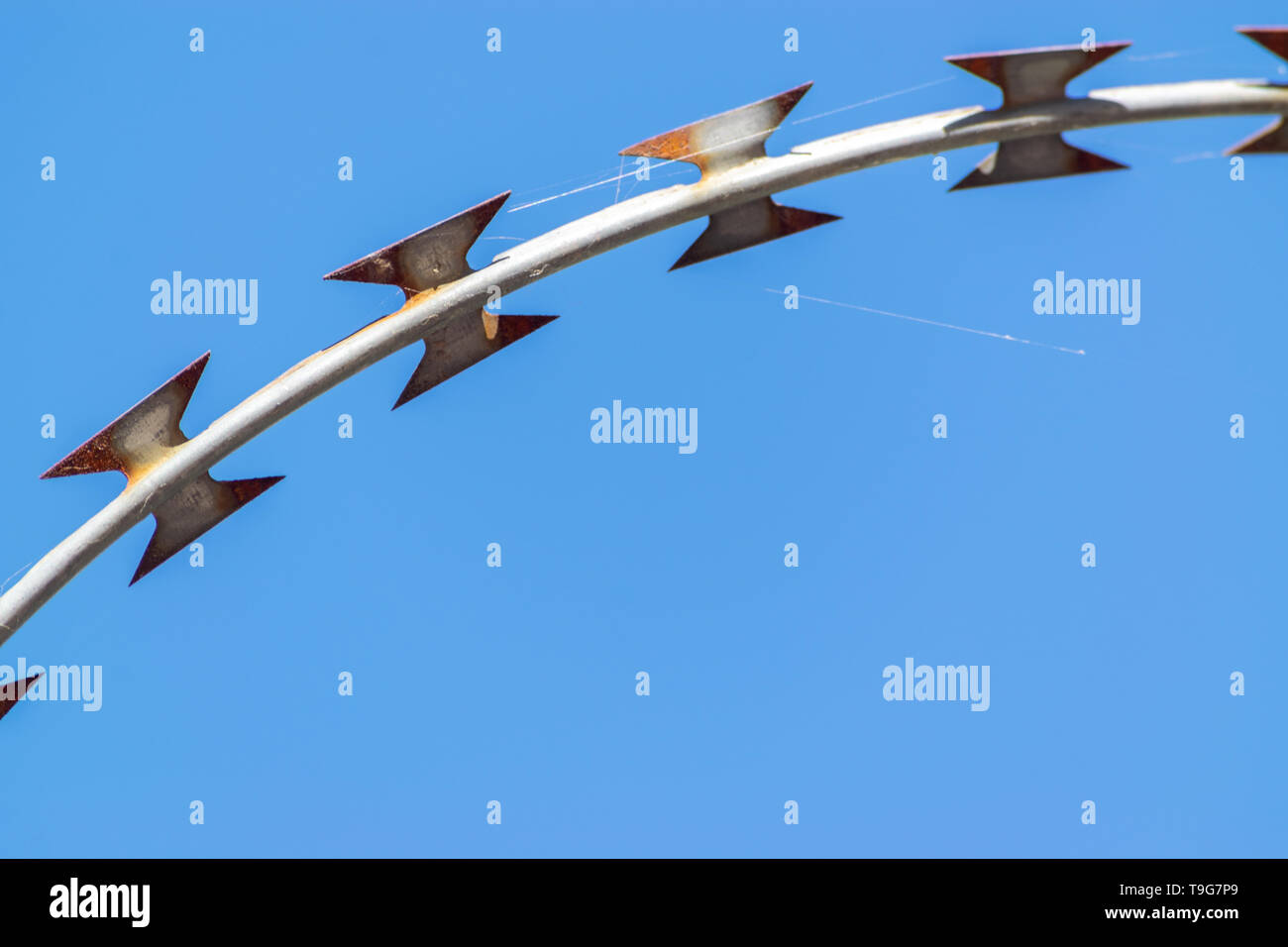 Details of barb wires in a sunny day Stock Photo - Alamy
