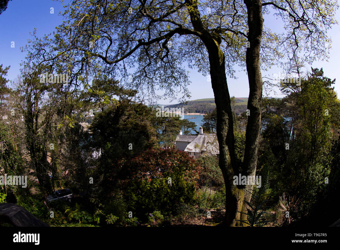 The seaside home of inventor Otto Overbeck, the gardens and house are ...