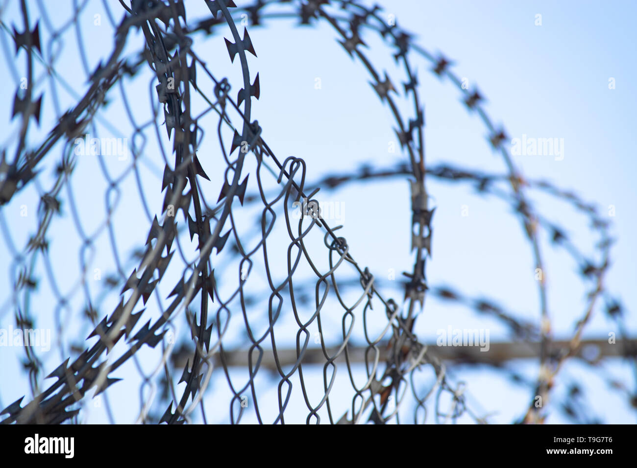 Details of barb wires in a sunny day Stock Photo - Alamy