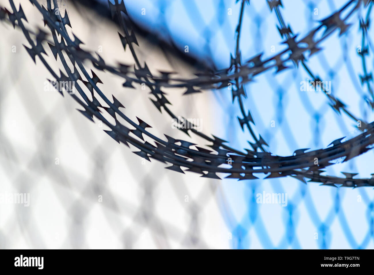 Details of barb wires in a sunny day Stock Photo - Alamy