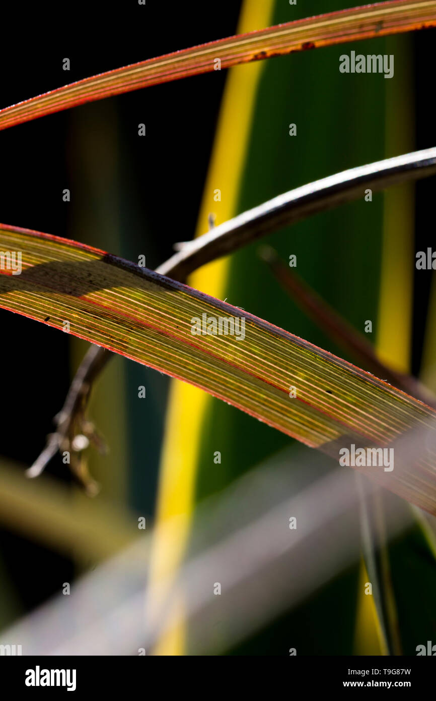The seaside home of inventor Otto Overbeck, the gardens and house are ...