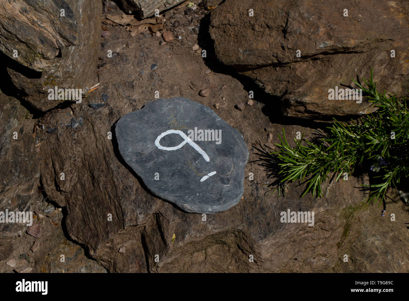 The seaside home of inventor Otto Overbeck, the gardens and house are ...