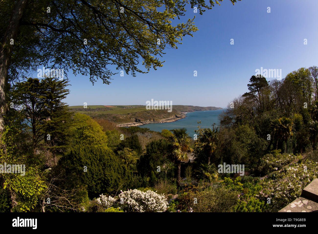 The seaside home of inventor Otto Overbeck, the gardens and house are ...