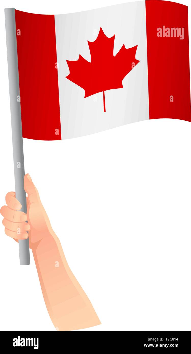 Canada flag in hand. Patriotic background. National flag of Canada ...