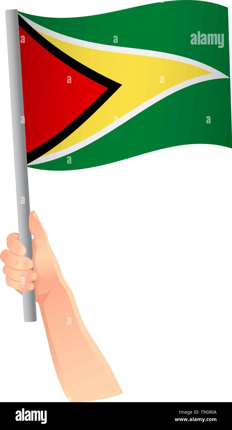Guyana flag in hand. Patriotic background. National flag of Guyana vector illustration Stock ...