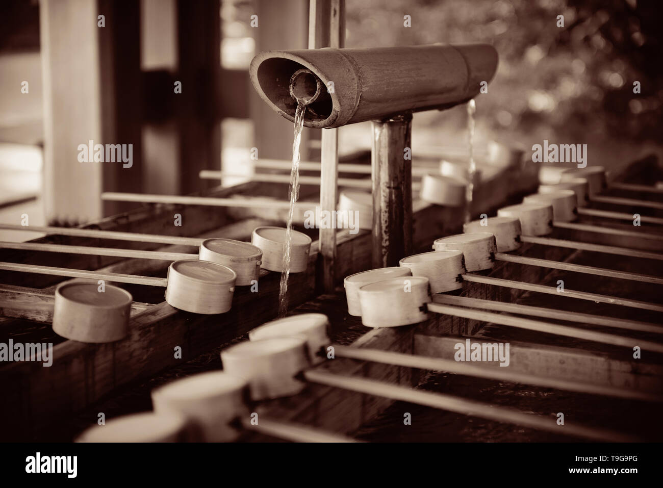 Hand-washing pool in Shrine, Tokyo Stock Photo - Alamy