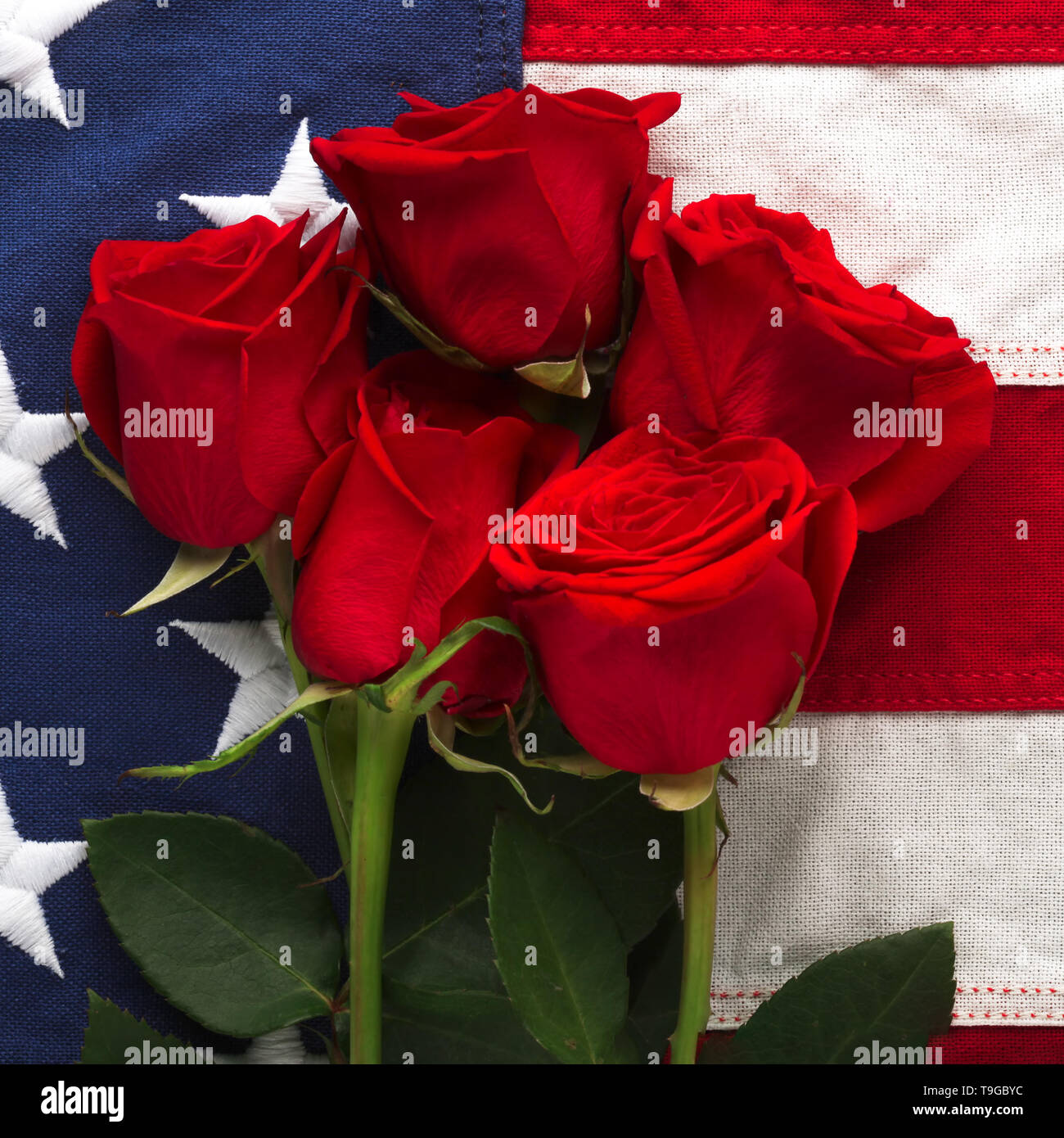 US American flag with roses Stock Photo - Alamy