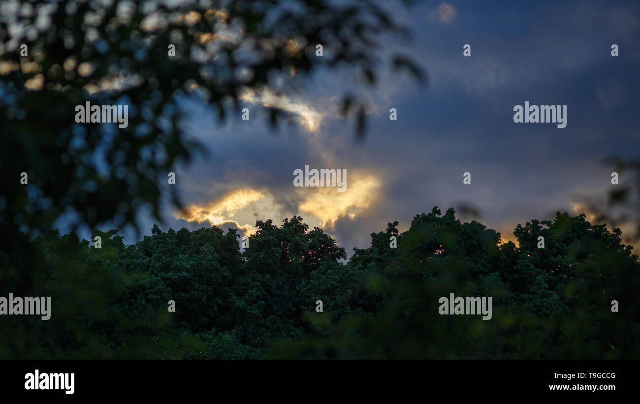 Clouds over trees hi-res stock photography and images - Alamy