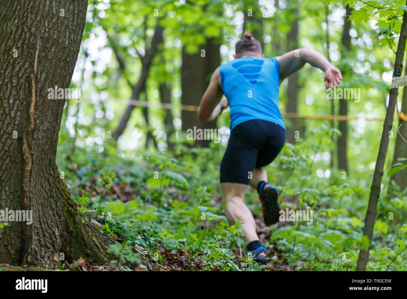 Young sporty man running trail cross in the forest Stock Photo - Alamy