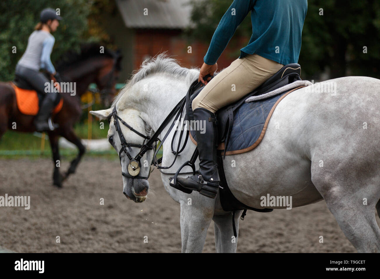Young man riding white horse on equestrian sport training Stock Photo ...