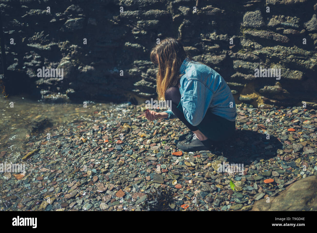 Woman collecting shells hi-res stock photography and images - Alamy
