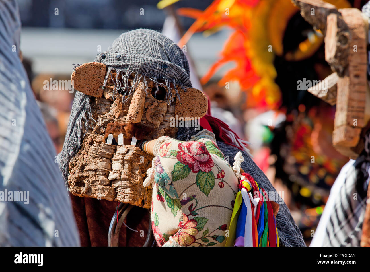Iberian Mask International Festival (FIMI) . Parade of costumes and ...