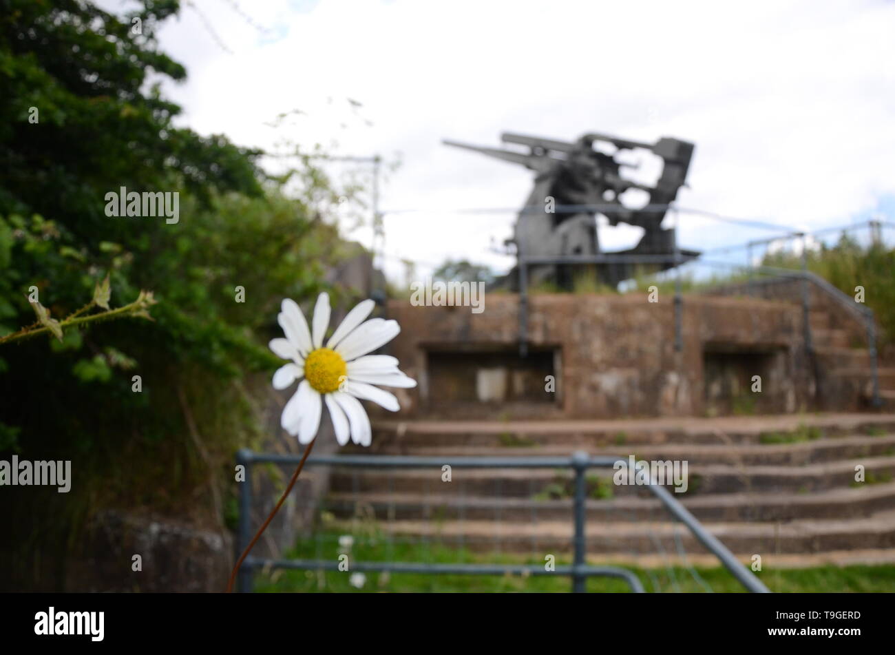Ww1 and ww2 gun battery hi-res stock photography and images - Alamy