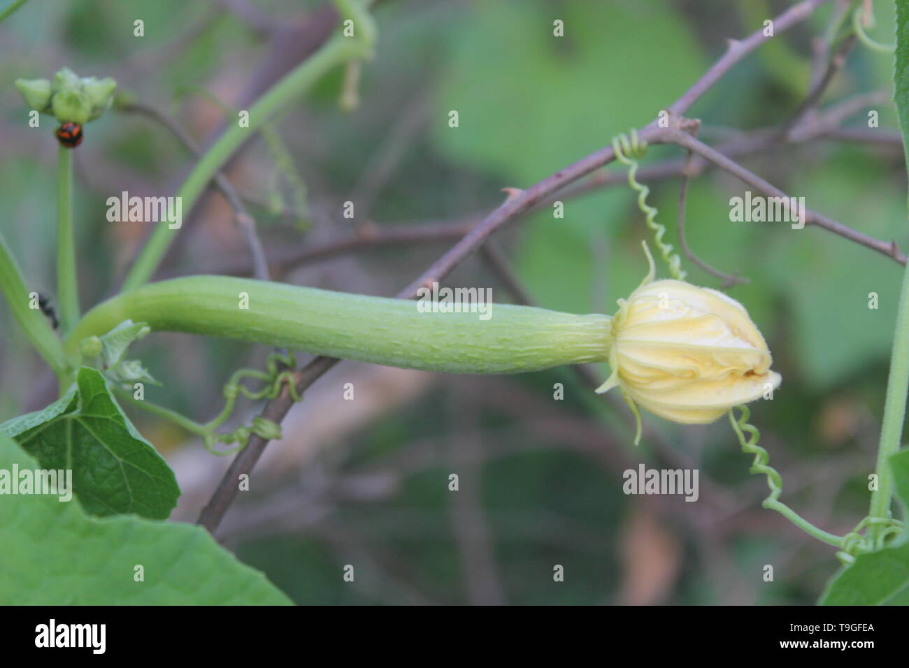 Awesome picture hi-res stock photography and images - Alamy