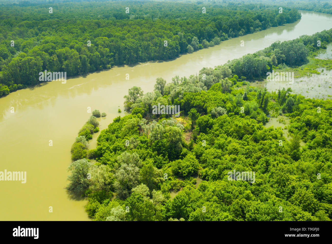 Sava river from air, landscape in nature park Lonjsko polje, Croatia ...