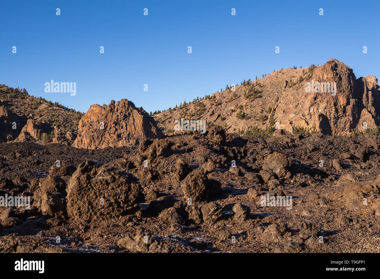 Various shapes of the tuf rocks in Teide National Park. Moon shape ...