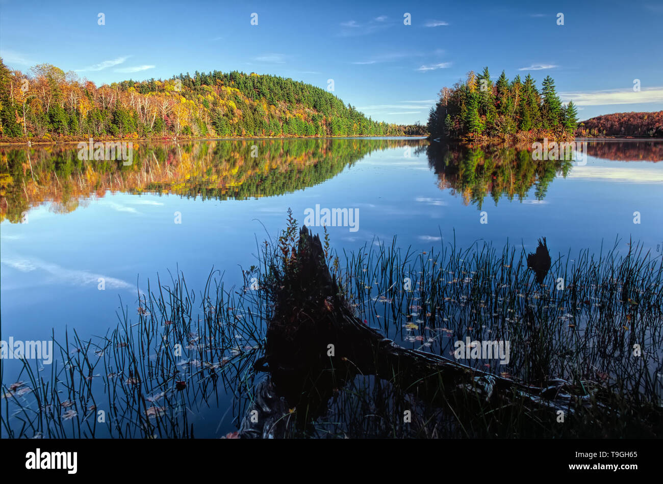 Mont-Orford-National-Park, Orford, Quebec, Canada Stock Photo - Alamy