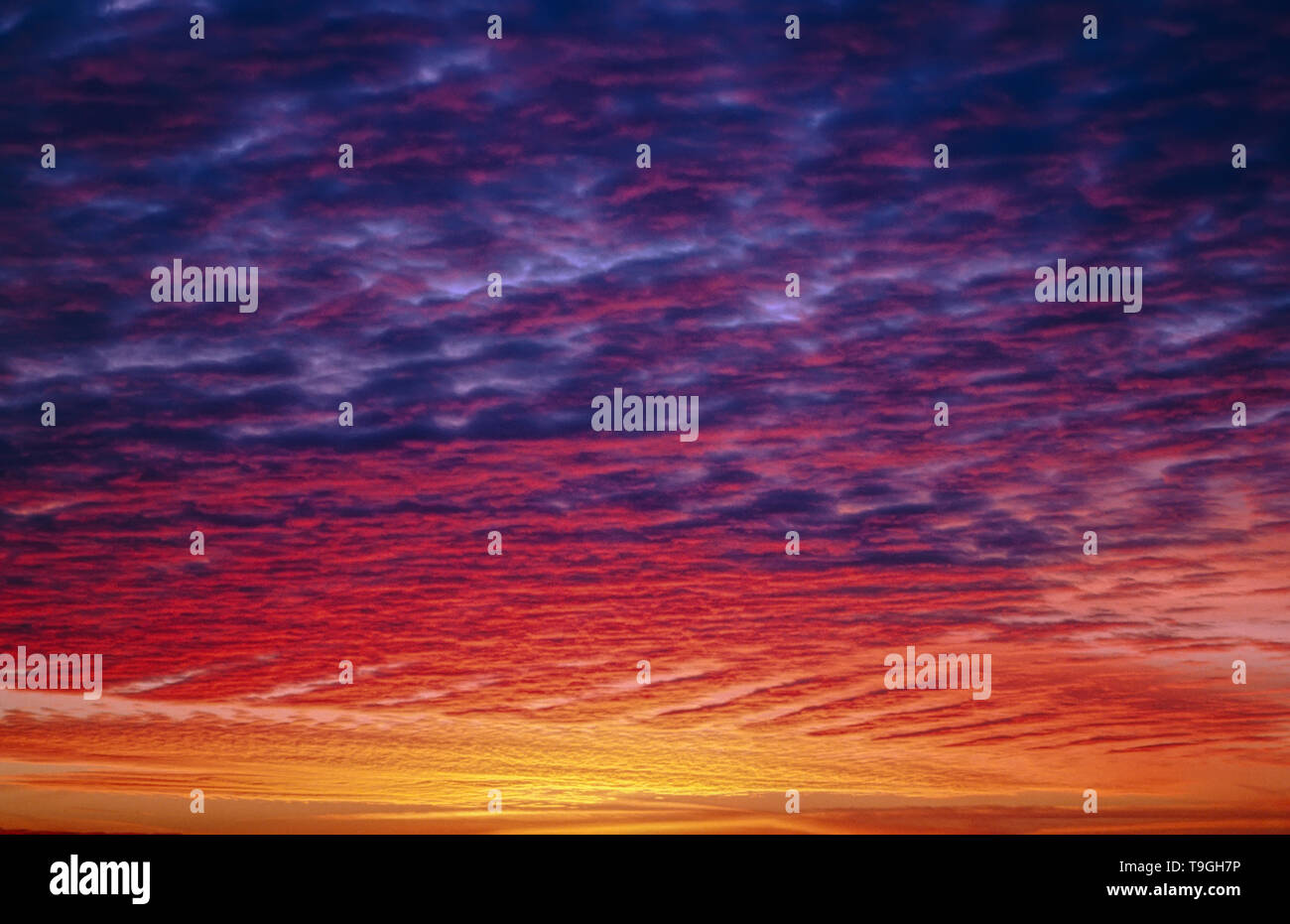 Clouds pattern at sunset, Québec, Canada Stock Photo - Alamy