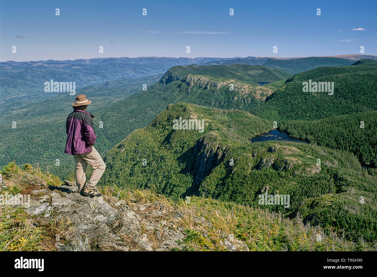 Chic choc hi-res stock photography and images - Alamy