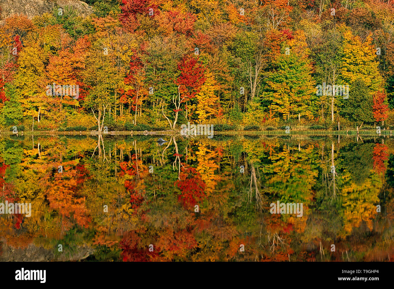 Fall Colors reflection at the Mont-Orford-National-Park, Orford, Quebec ...