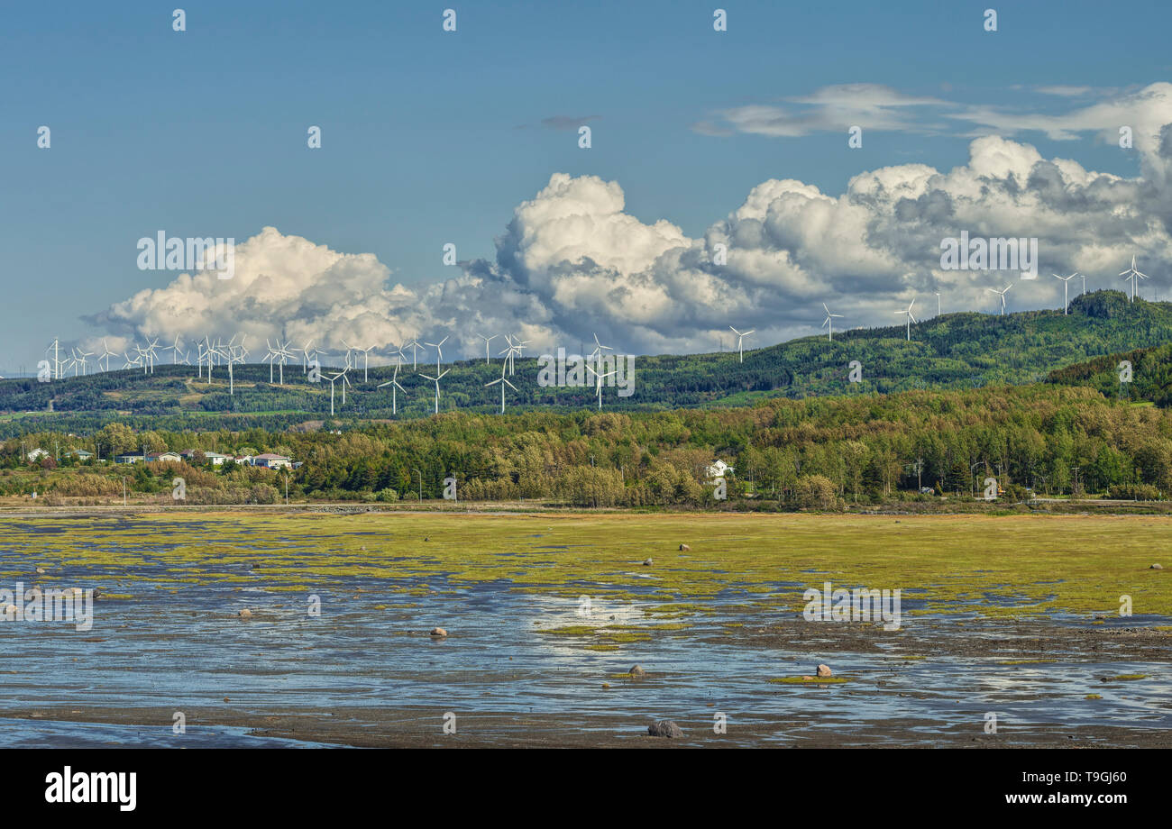 Wind Power Quebec High Resolution Stock Photography and Images - Alamy