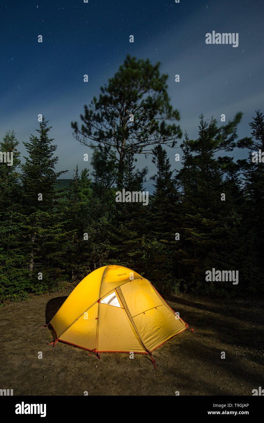 Lit tent under conifer trees, Hautes-Gorges National Park, Quebec ...