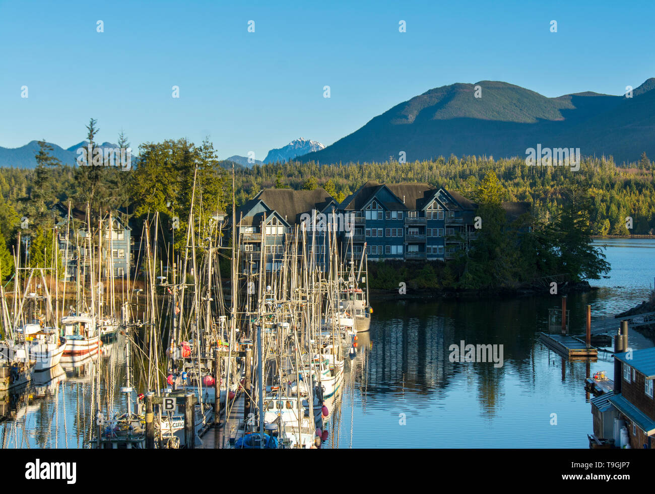 Ucluelet Harbour, BC, Vancouver Island, Canada Stock Photo - Alamy