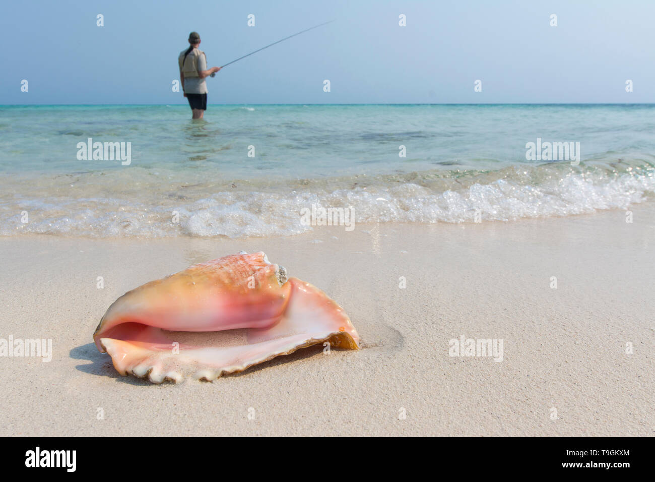 Horizontal Beach Belize High Resolution Stock Photography and Images ...