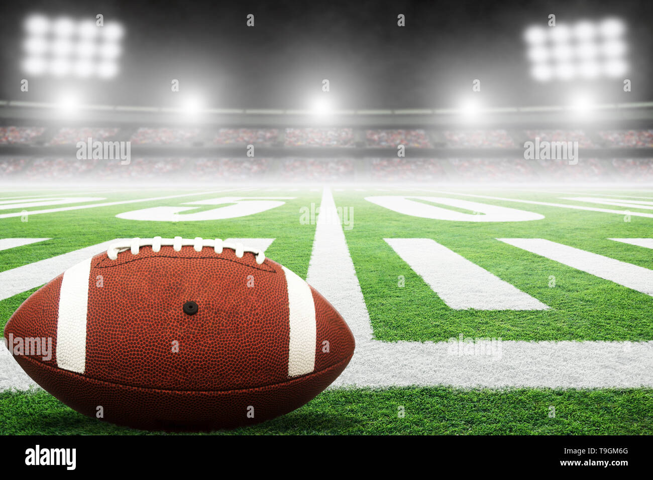 Stadium Crowd Close Up