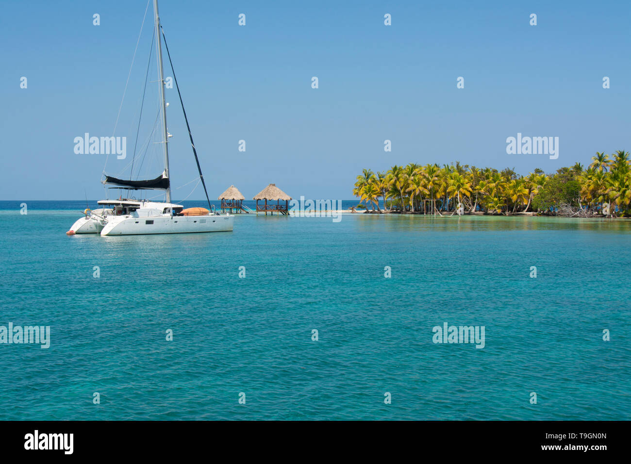 Cruising catamaran at North Long Coco Plum Caye, Belize Stock Photo - Alamy
