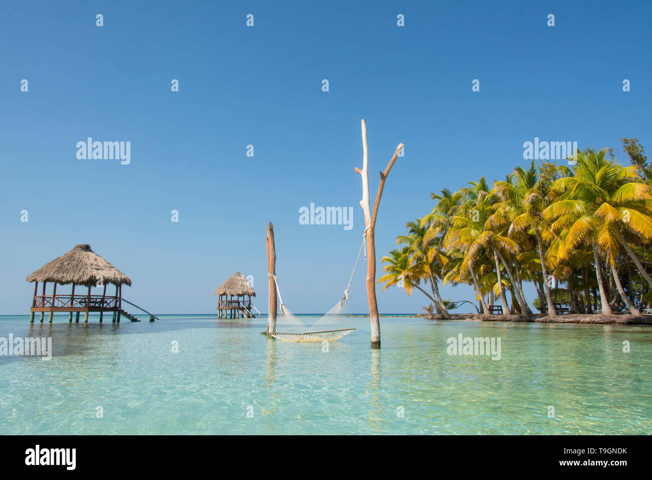 Hammock in tropical waters and Palapa platforms, North Long Coco Plum ...