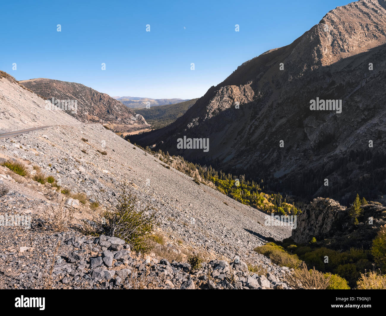 Beautiful tree side mountain road hi-res stock photography and images ...