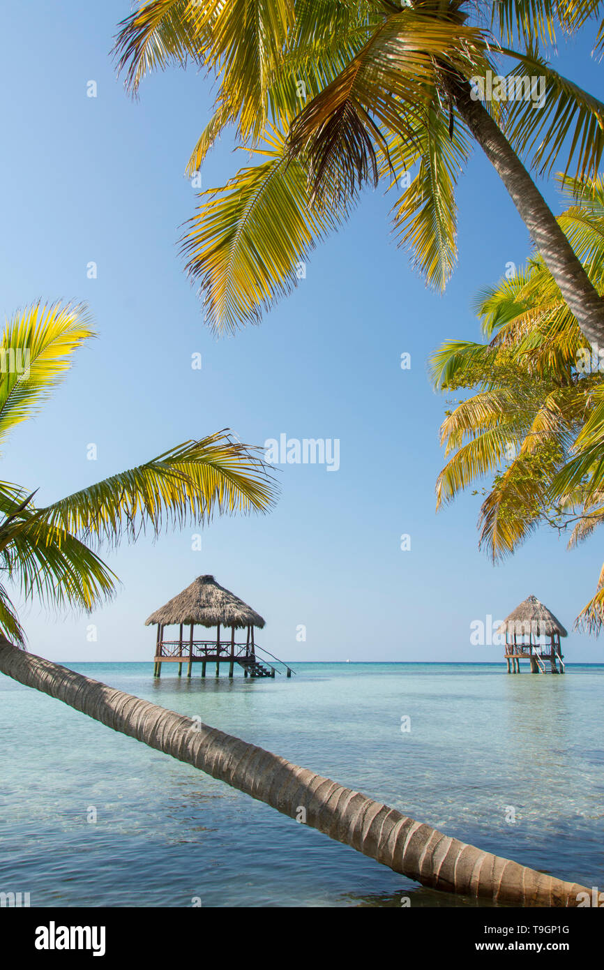 Palapa platforms, North Long Coco Plum Caye, Belize Stock Photo - Alamy
