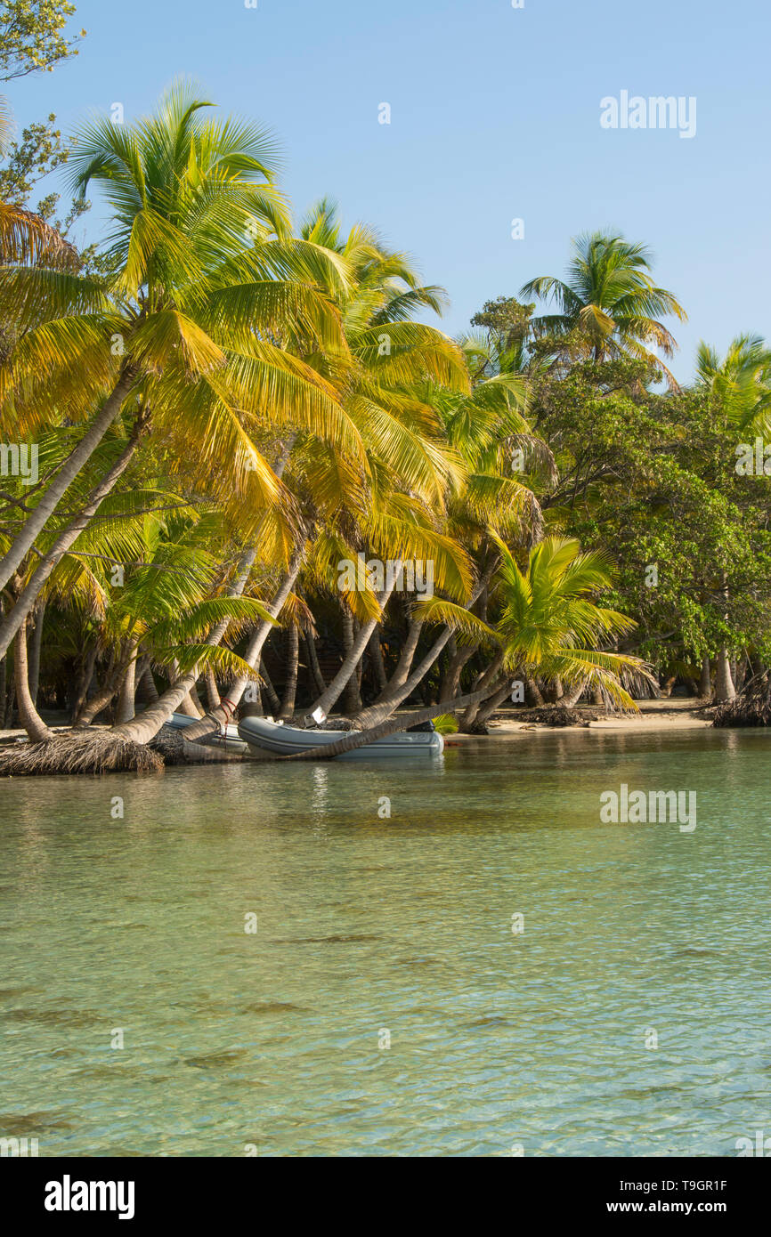 North Long Coco Plum Caye, Belize Stock Photo - Alamy