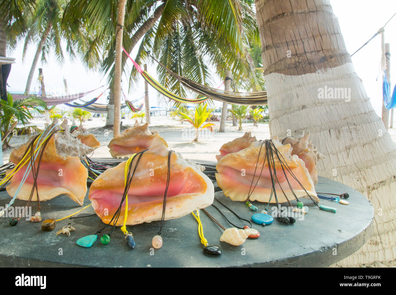 Jewelry and shells hi-res stock photography and images - Alamy