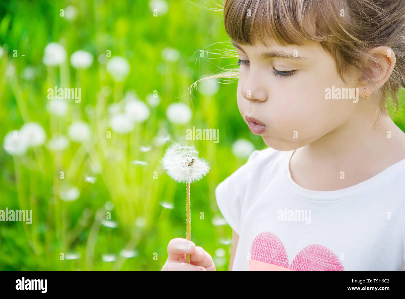 girl blowing dandelions in the air. selective focus Stock Photo - Alamy