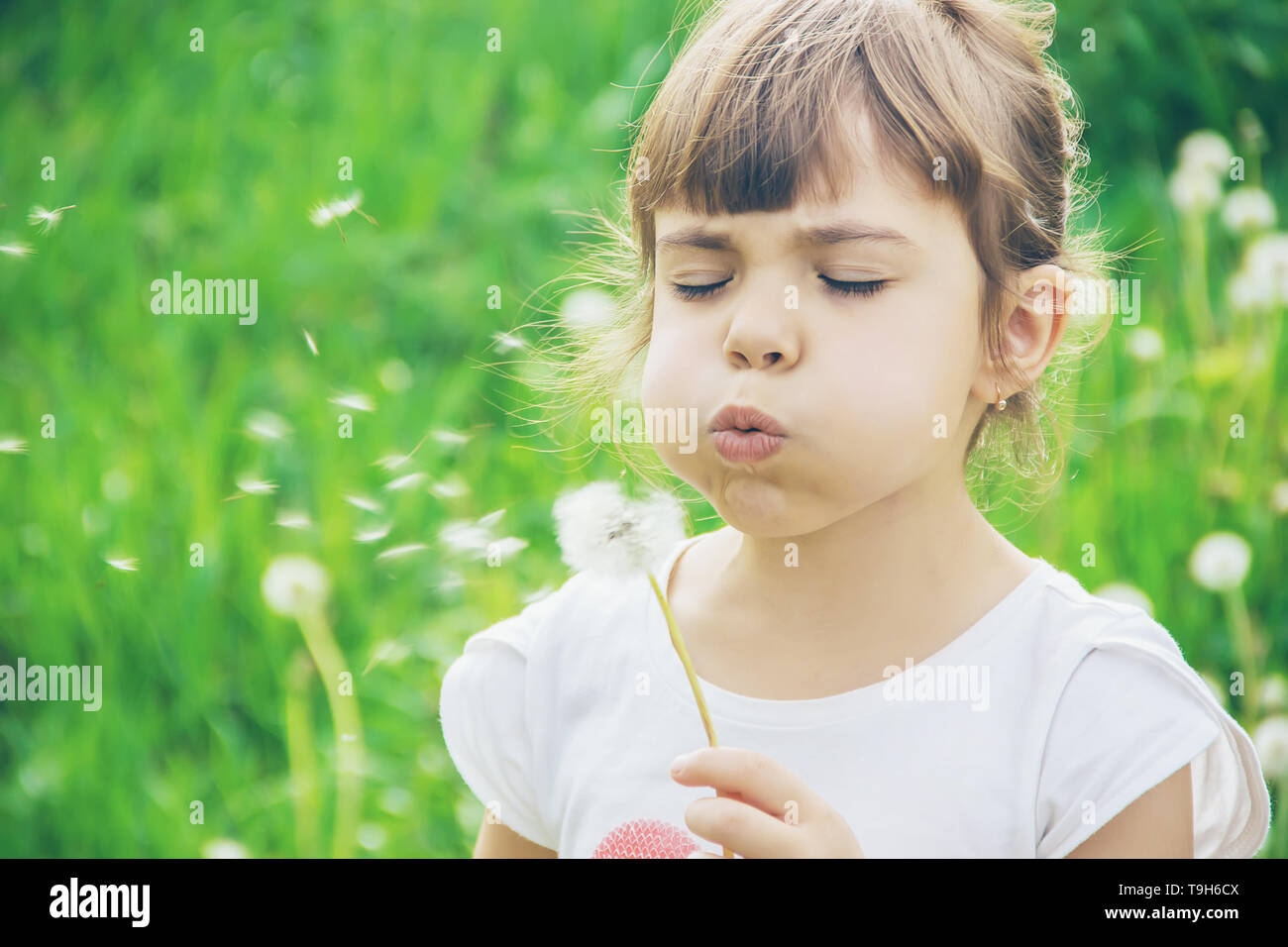 girl blowing dandelions in the air. selective focus Stock Photo - Alamy
