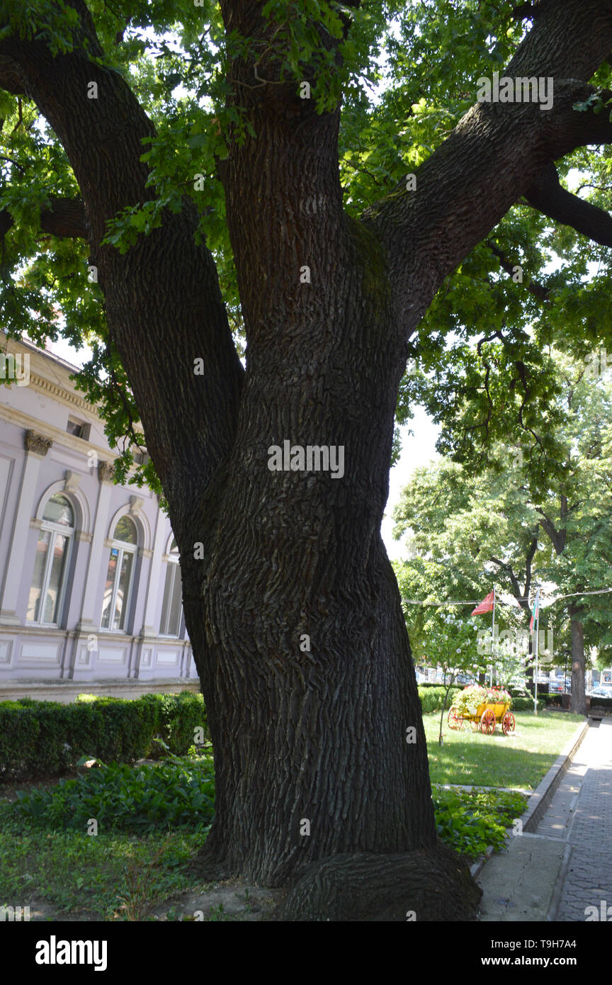 Ruse city hi-res stock photography and images - Alamy