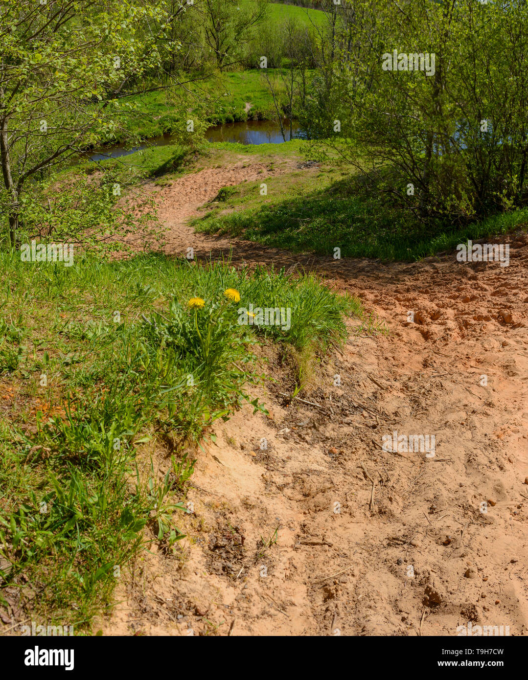 Spring walk along the river Sablinka in the Leningrad region. The ...
