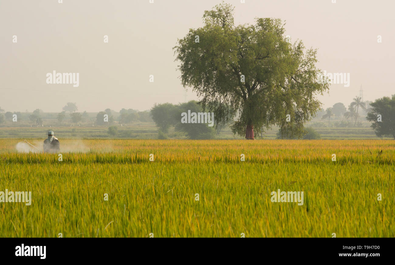 Farmer spraying pesticide hi-res stock photography and images - Alamy